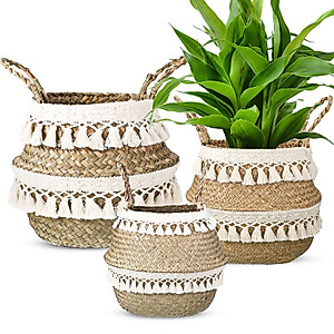 Wesiti Set of 3 Boho Seagrass Belly Basket Natural Storage Plant Basket Plant Pot Woven Plant Basket with Handles and Tassels for Living Bathroom Laundry Toy Grocery Storage, Small, Medium and Large