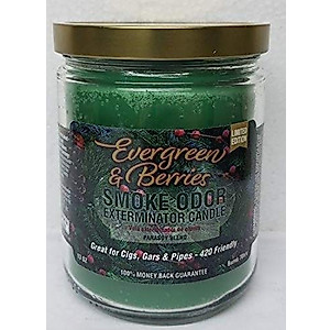 Smoke Odor Exterminator 13oz Jar Candle,Evergreen & Berries, (1) Candle.