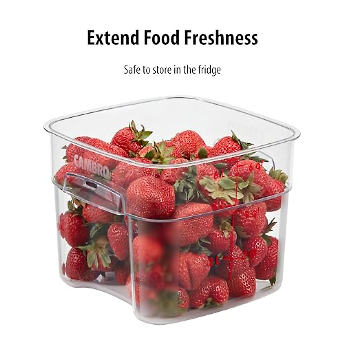 Cambro FreshPro 6Qt Food Storage Container in Clear for Industrial and Kitchen Use, Pantry Organization and Food Freshness