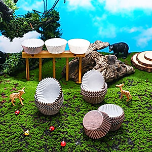 300 Pieces Cupcake Liners Cupcake Wrappers Woodland Animal Cupcake Cups Paper Muffin Baking Liners Holders for Bridal Showers Wedding Holiday Birthday Party Decorations (Woodgrain)