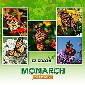 Monarch Butterfly Garden Kit -28 Species of Perennial Milkweed and Wildflower Seeds - If You Grow it Monarchs Will Come - Kids STEM Project - Create a Beautiful Garden Full of Butterflies