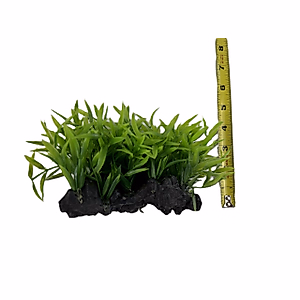 Gingerbread Pet Supply Aquatic Plastic Green Plant with Large Base