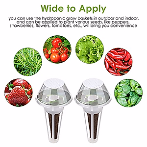 Seed Pod Kit for Aerogarden(50-Pod), Hydroponic Growing Kit for Indoor Garden, Plant Germination Kit Accessories for Seed Starting Growing System