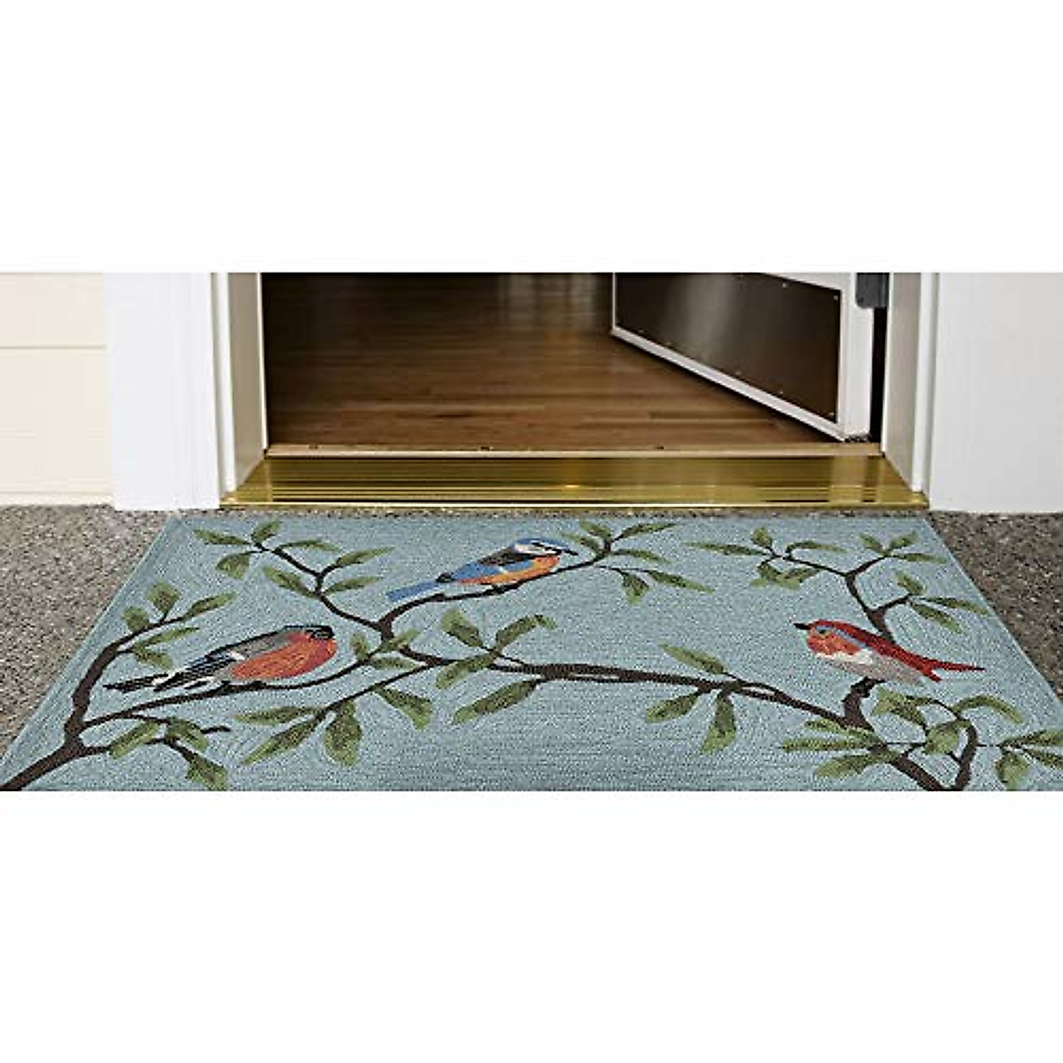 Liora Manne 2270/04 Aqua Ravella Bird on Branches Indoor/Outdoor Rug, 2' X 3', Blue