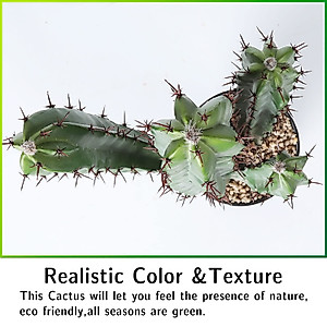 AntHousePlant Artificial Cactus Fake Big Cactus 25 Inch Faux Cacti Plants for Home Garden Office Store Decoration