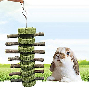 Rabbit Hamster Chew,lEIsr00y Rabbit Bunny Hamster Teeth Health Apple Wood Stick Grass Hay Cake Heart Chew Toy - Wood Color