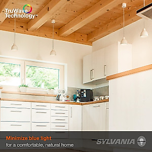 SYLVANIA LED TruWave Natural Series G16.5 Globe Light Bulb, 40W Equivalent, Efficient 4.5W, Medium Base, 350 Lumens Dimmable, Frosted, 2700K, Soft White (40799), 2 Count (Pack of 1)