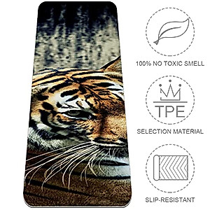 Yoga Mat, Yoga Mats for Home Workout, Workout Mat, Exercise Mats, Pilates Mat, animal tiger pattern