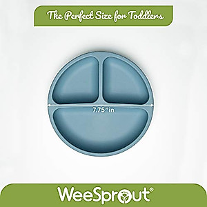 WeeSprout Non-Suction Silicone, Plastic Dishware Plate (With Lids), Food Grade for Toddlers, Kids, Dishwasher and Microwave Safe (Matte Dark Grey, Blue & Green, 3 Count (Pack of 1))