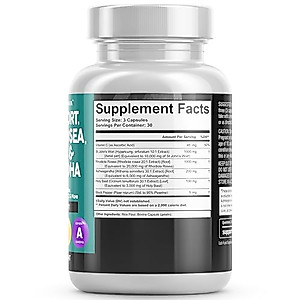 Clean Nutraceuticals St Johns Wort 10000mg Rhodiola Rosea 20000mg Holy Basil 3000mg Ashwagandha 6000mg - Mood Support for Women and Men with Vitamin C & Black Pepper Extract - 90 Caps