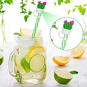 2pcs Straw Tips Cover Straw Covers Cap for Reusable Straws Cloud Shape Straw Protector, Silicone Straw Plugs Reusable Cloud Shape Straw Protector (Prickly pear)