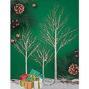 LIGHTSHARE 4 feet 6 feet and 8 Feet Birch Tree,Warm White, for Home,Pack of 3, Festival, Party, and Christmas Decoration, Indoor and Outdoor Use