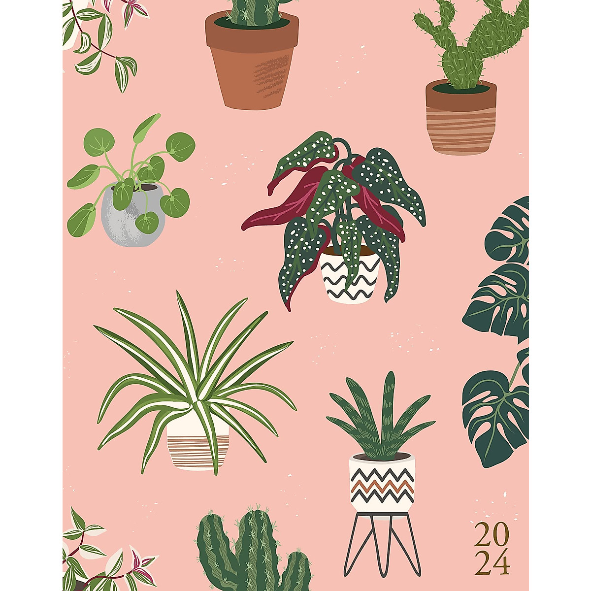 Willow Creek Press Perfect Plants 2024 Booklet Softcover Monthly Planner (7.5" x 9.5")