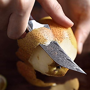 YARENH Bird's Beak Paring Knife - 67-Layer Damascus Steel - Super Sharp Blade for Peeling Fruit - African Sandalwood Handle