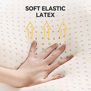 LEAIJIAFY Foldable Bed Sleeping Cot with Casters and 1.57" Latex Mattress,Temporary Bed Guest Rollaway Bed with Adjustable Backrest,Sturdy Metal Bed Frame,for Lunch Break Nap,Black,74.80" *23.62"