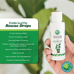 Fiddle Leaf Fig Rescue Drops by Fiddle Leaf Fig Plant Resource | 3-in-1 Liquid Fertilizer, Root Supplement & Immunity Booster (3.3 Fluid Ounces - 100ml)