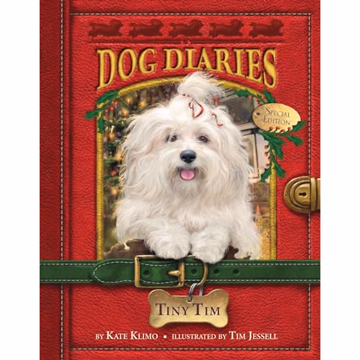 Dog Diaries #11: Tiny Tim (Dog Diaries Special Edition)