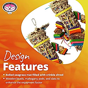 Super Bird Creations SB887 Rolie Polie Bird Toy, Large Bird Size, 13" x 8" x 8"