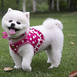 BARKLESS Cute Small Dog Harness, Ladies Polka Dots Dog Vest Harness Set with Pink Leash and Bowknot Collar, 3 in 1 Girl Style Vest Harness Set for Puppy and Cat (XL, Pink)