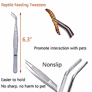 Reptile Basking Platform, Tortoise Feeding Dish, Rock Reptile Food Bowl with Feeding Tweezers Landscape Habitat Decor for Turtle Lizard Bearded Dragon Crested Gecko Snake (4 PCS)