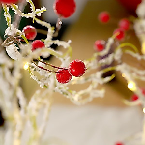MIYA LIFE Snow Garland with Red Berry White Christmas Garland with Lights Battery Operated - Christmas Garland for Mantle Twig Garland for Christmas Tree Decorations
