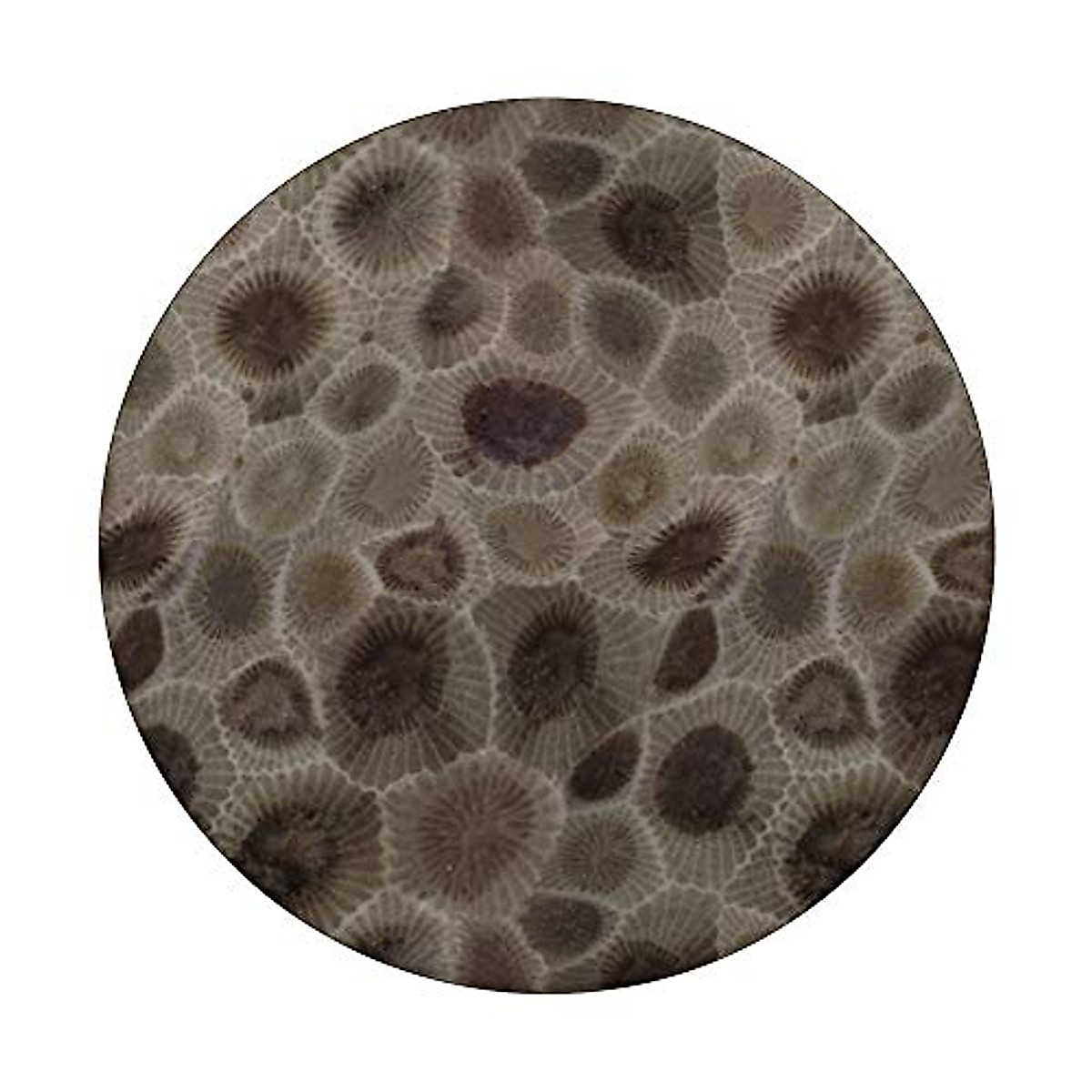 Petoskey Stone- Michigan PopSockets PopGrip: Swappable Grip for Phones & Tablets