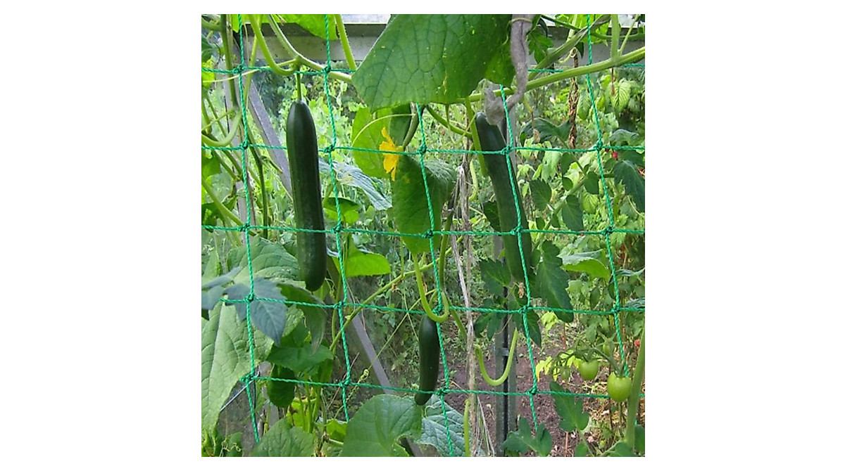 Plant Trellis Netting for Climbing Plants Outdoor Heavy Duty Plastic ...