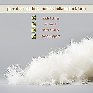 YSTHER Down Feather Throw Pillow Inserts 20x20 Set of 2 Square Form Sham Stuffer Premium Hypoallergenic Cotton Lumbar White Decorative Sofa Cushion Couch