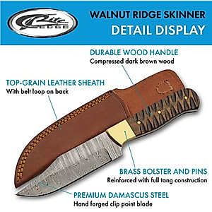 SZCO Supplies 9" Walnut Wood Handled Damascus Steel Outdoor Hunting Knife With Sheath