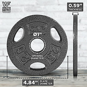 WF Athletic Supply Cast Iron 1-Inch Standard Grip Plate for Strength Training, Muscle Toning, Weight Loss & Crossfit - Multiple Choices Available
