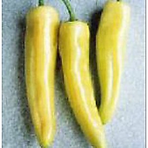 Hot Banana Hot Peppers Seeds (20+ Seeds) | Non GMO | Vegetable Fruit Herb Flower Seeds for Planting | Home Garden Greenhouse Pack