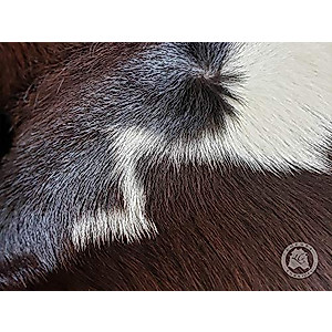 Genuine Calfskin Tricolor Exotic Calf Hide Cow Skin Cowhide Rug Leather Area Rug 3 x 3 ft.