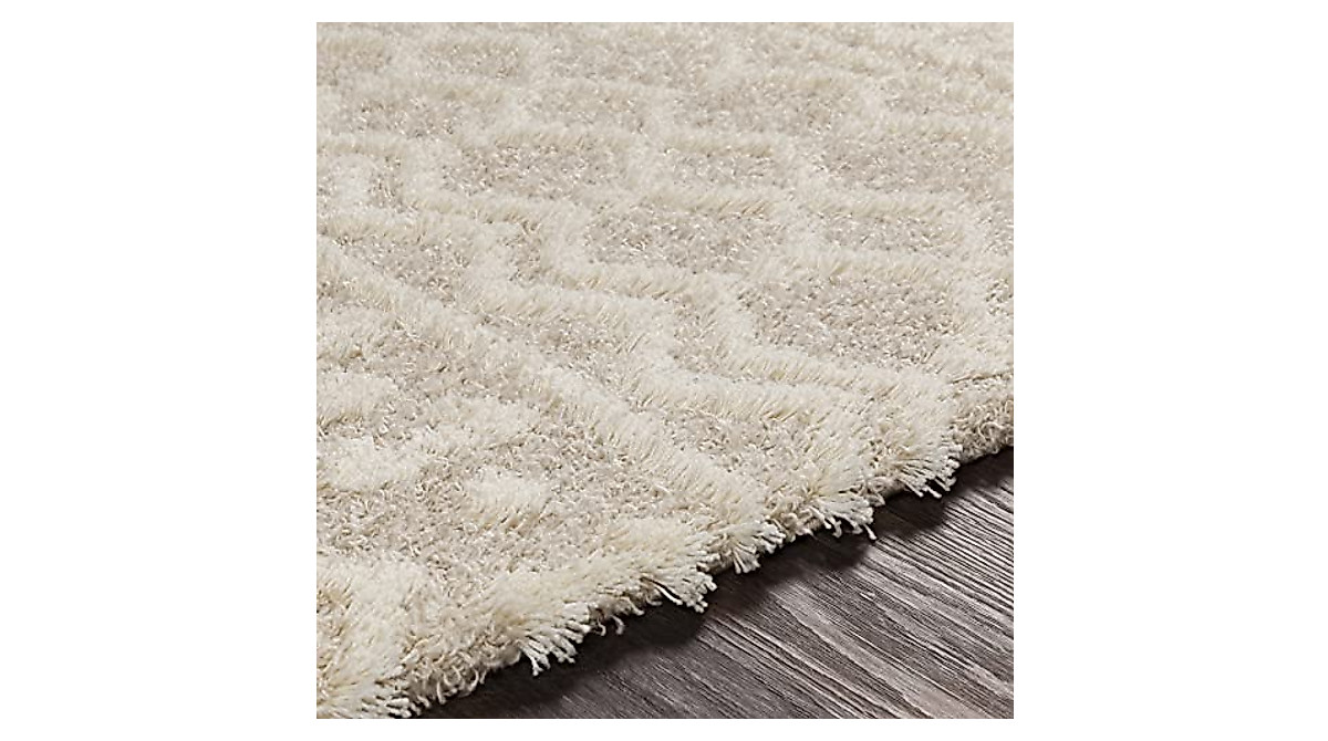 Beige Moroccan Shag Area Rug - Plush, Durable & Stylish