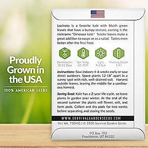 Survival Garden Seeds - Lacinato Kale Seed for Planting - Packet with Instructions to Plant and Grow in Your Home Vegetable Garden - Non-GMO Heirloom Variety