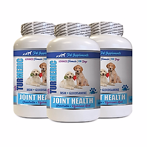PET SUPPLEMENTS & NUTRITION LLC Advanced Hip and Joint for Dogs - Joint Health with Turmeric - MSM - GLUCOSAMINE - Hip Support - Best glucosamine for Dogs - 120 Tablets (2 Bottles)