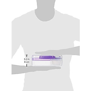 Sistema Bento Box Adult Lunch Box with 2 Compartments