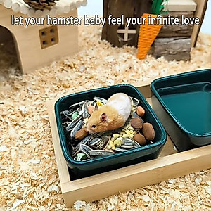 Acsist 4PCS Ceramic Hamster Bowl with Wood Stand Stylish Square Bunny Food Bowl Anti-Tipping Guinea Pig Water Bowl Dish for Rabbits Ferrets Chinchillas Hedgehogs Small Animal (Green)