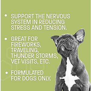 Pet Health Pros Melatonin Calming-Pro Dog Calming Chews for Dogs - Made with Chamomile, Ginger and Melatonin - Dog Calming Chews for Dogs Anxiety and Stress - Storms, Fireworks and Travel - 60 ct