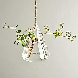 Fashionstorm Indoor Outdoor Glass Hanging Planters Plant Pots Water Plant Containers Flower Pots Glass Terrariums 3 Pieces