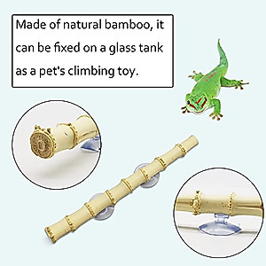 kathson Reptile Plants Hanging Plastic Fake Climbing Terrarium Plant Decor Bearded Dragons Corner Branch Habitat Decorations for Amphibian Lizards Crested Gecko Snake Hermit Crab Frogs (Bamboo) 3Pcs
