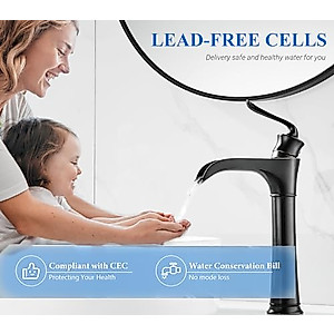 Farmhouse Waterfall Bathroom Faucet for Vessel Sink Single Hole Bowl Mixer Tap, MYHB Oil Rubbed Bronze SH8012H