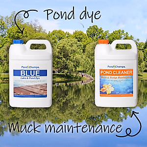 Pond Champs Blue Pond Dye and Pond Cleaner- 1 Gallon of Each