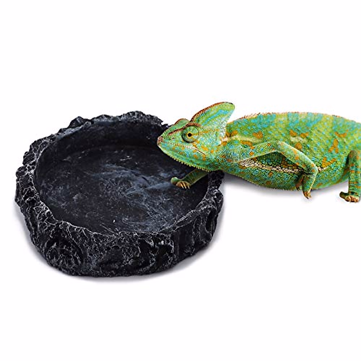 MINYULUA 2 Pack Reptile Water Dish Rock Worm Feeder Bowl Pet Feeding Tray for Tortoise, Gecko, Turtle, Snake, Lizard, Spider, Chameleon