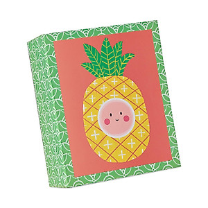 Papyrus Blank Cards with Envelopes, Fruit (20-Count)