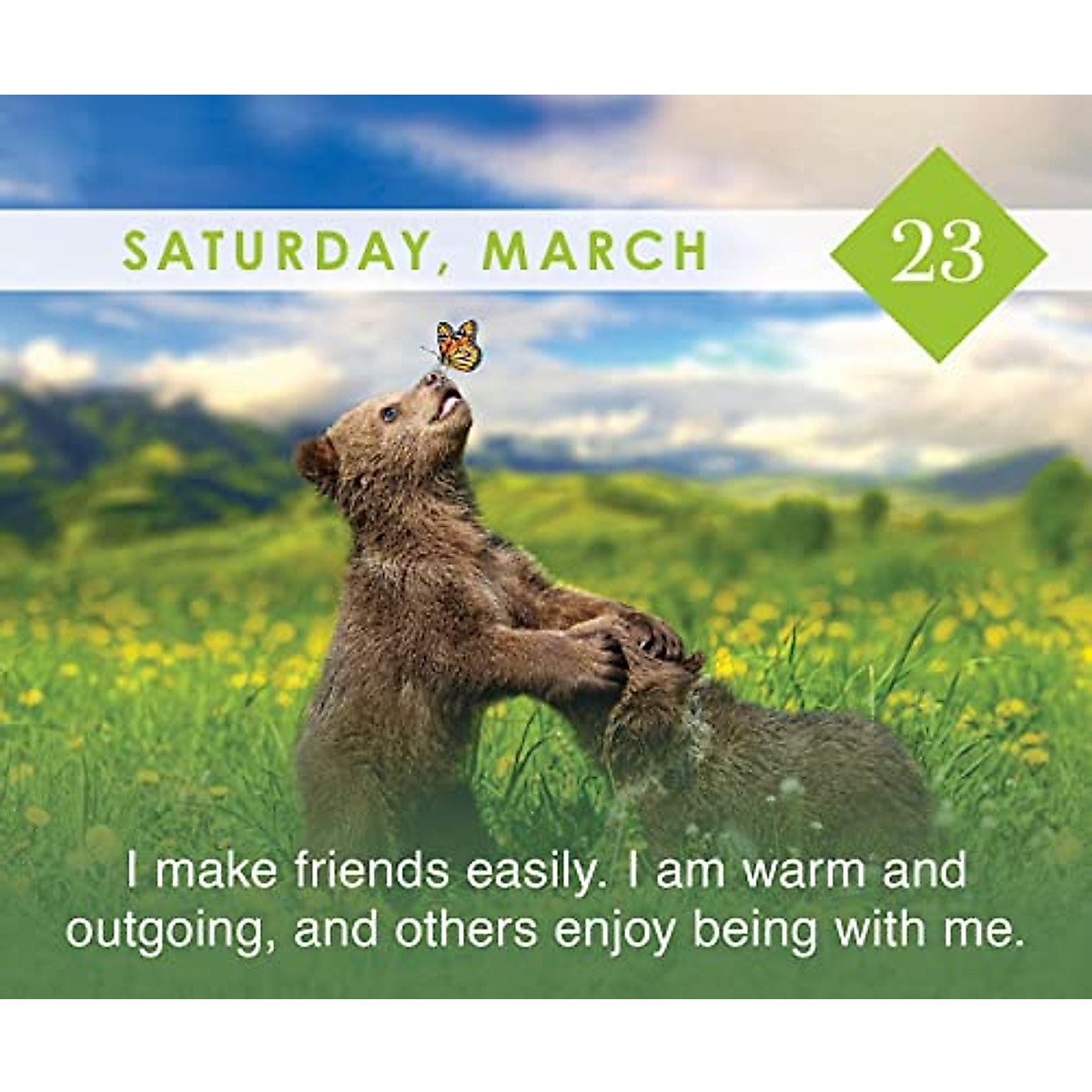 I Can Do It® 2024 Calendar: 366 Daily Affirmations