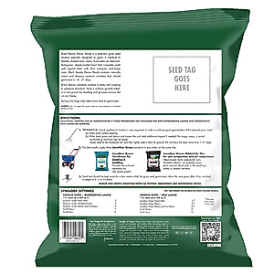 Jonathan Green (10622) Black Beauty Dense Shade Grass Seed - Cool Season Lawn Seed (1 lb)