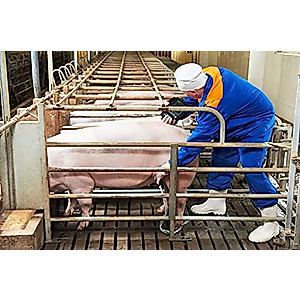 Ultrasound Machine for Pregnancy Portable ecografo portatil Scanner Handheld Doppler for Small Baby Dog sonogram ultrasounds veterinario Veterinary Portable Ultrasound for Bladder Dogs