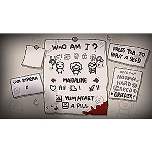 The Binding of Isaac Afterbirth / PS4