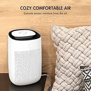 Tenergy Sorbi 1000ml Air Dehumidifier w/Air Purifying Function, True HEPA Filter, Auto Shutoff, Touch Control Adjustable Air Speed, Ultra-Quiet, Ideal for Closets and Bathrooms