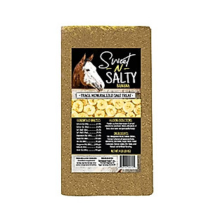 Kalmbach Feeds Sweet N Salty Banana Flavored Salt Treat Brick for Horses, 4 lb
